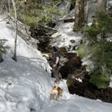 Rathdrum Mountain Trail, Idaho - 323 Reviews, Map | AllTrails