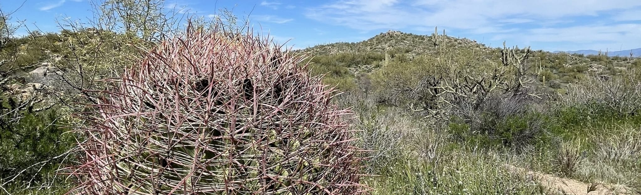 136th Street Express, Cow Poke, Coyote Canyon, and Dove Valley Loop ...