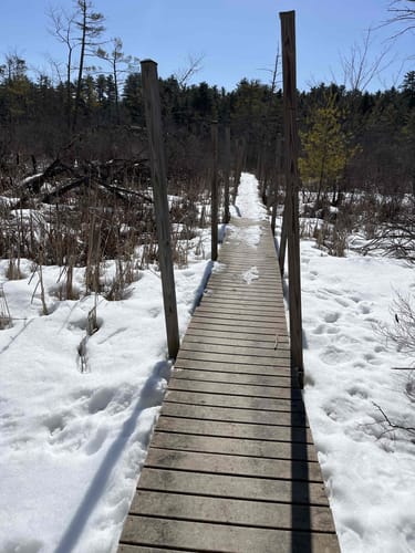 Best Hikes and Trails in Chamberlain-Reynolds Memorial Forest | AllTrails
