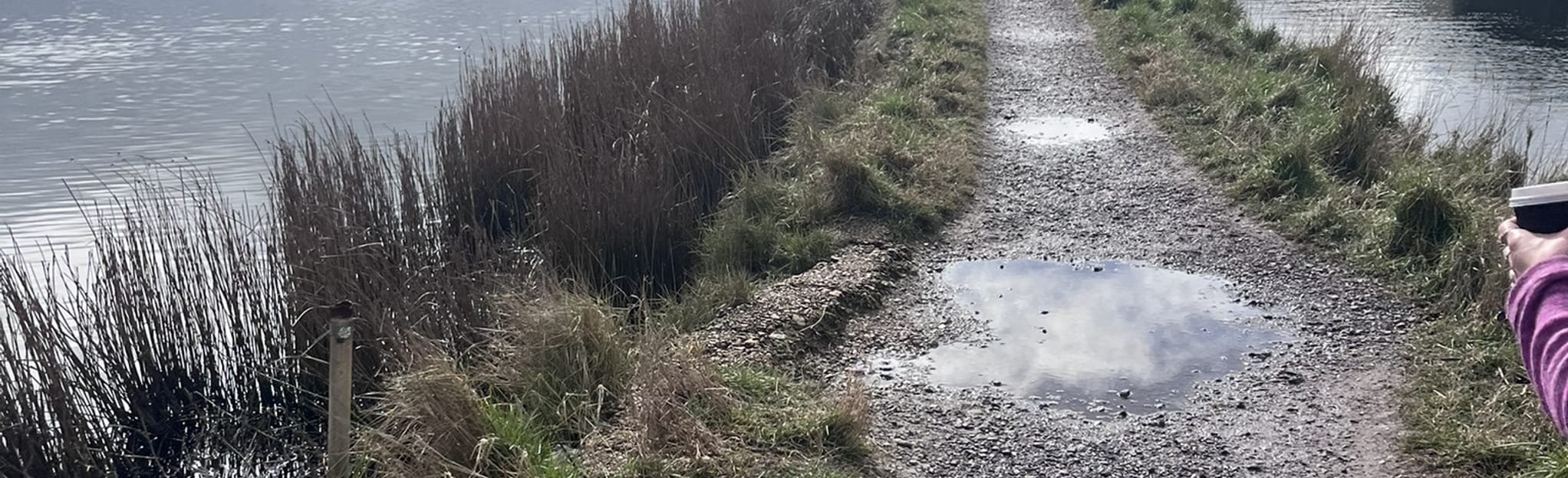 Emsworth Circular: 8 Reviews, Map - Hampshire, England | AllTrails