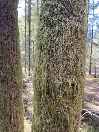 Best Hikes and Trails in Lba Park | AllTrails