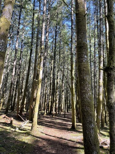Best Hikes and Trails in Lba Park | AllTrails