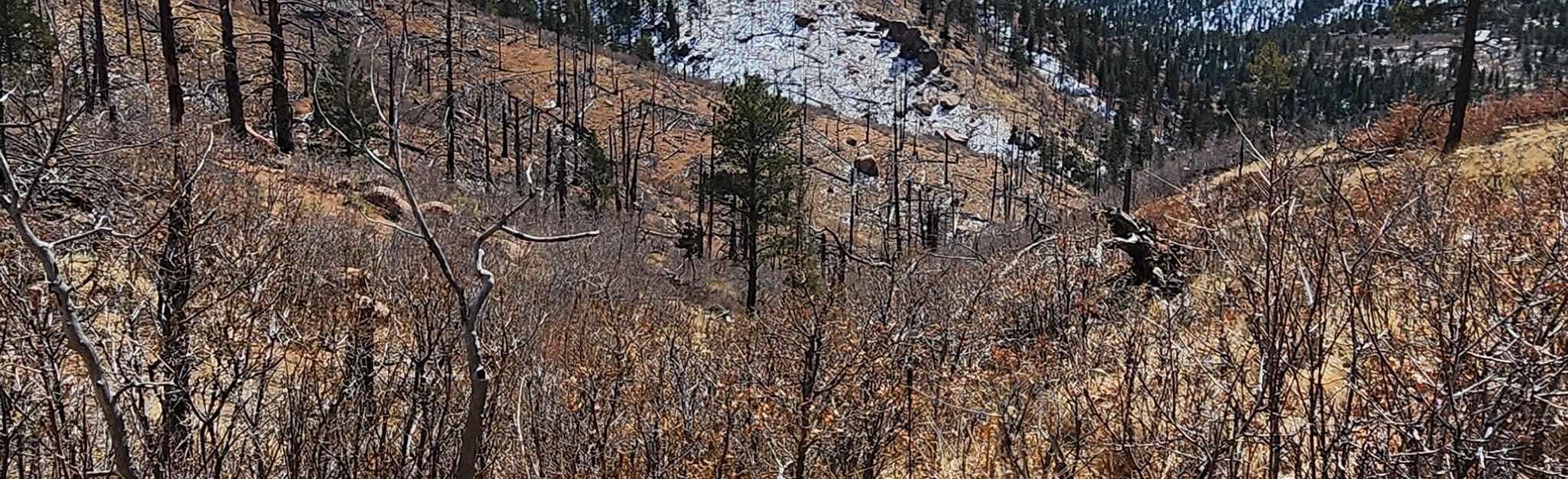 Hwy 24 Overlook, Colorado - 37 Reviews, Map | AllTrails