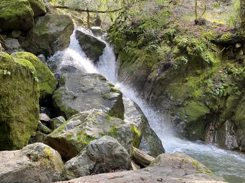 10 Best Hikes and Trails in Sugarloaf Ridge State Park | AllTrails