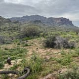 Massacre Falls via First Water Trailhead, Arizona - 49 Reviews, Map ...