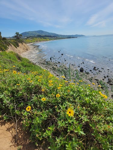 2023 Best trails in Carpinteria State Beach | AllTrails