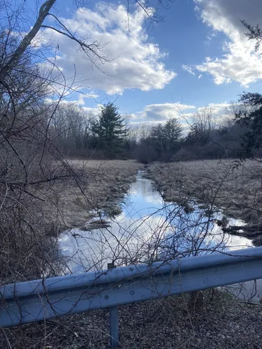 Best Hikes and Trails in Stewart State Forest | AllTrails