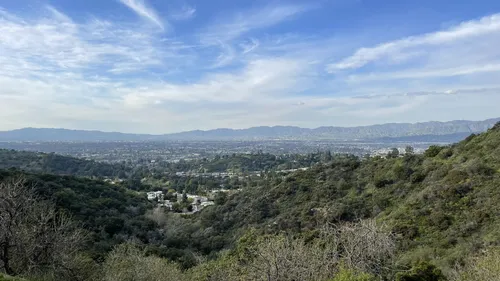 2023 Best 10 Forest Trails in Los Angeles | AllTrails