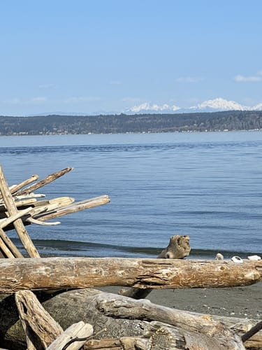 Best Hikes and Trails in Point No Point Lighthouse and Park | AllTrails