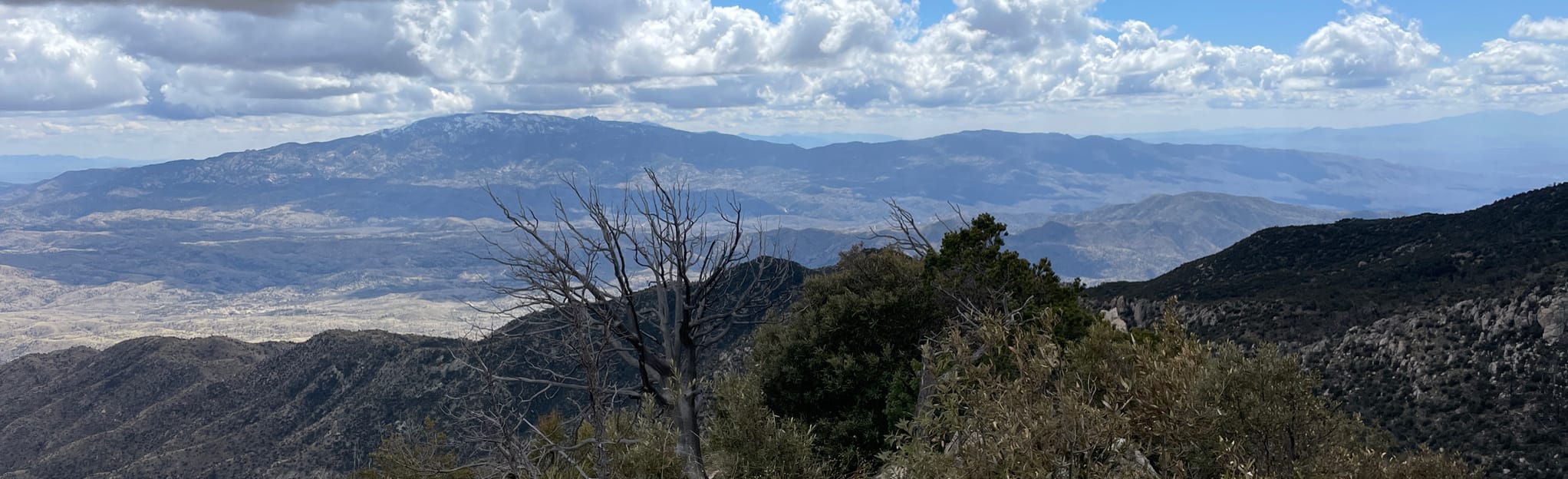 Guthrie Peak Trail, Arizona - 148 Reviews, Map | AllTrails