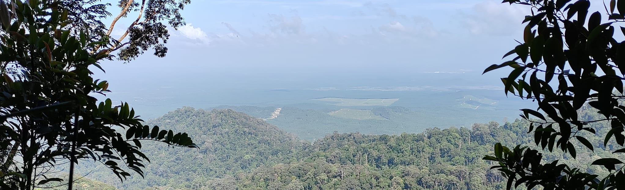 Gunung Pulai Loop, Johor, Malaysia - 14 Reviews, Map | AllTrails