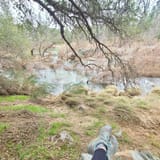 Dave Moore Nature Trail, California - 391 Reviews, Map | AllTrails