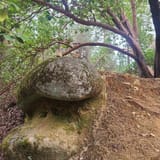 Dave Moore Nature Trail, California - 391 Reviews, Map | AllTrails