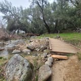 Dave Moore Nature Trail, California - 391 Reviews, Map | AllTrails