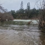 Dave Moore Nature Trail, California - 391 Reviews, Map | AllTrails