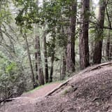 East Ridge Trail to West Ridge Trail Loop from Skyline Blvd, California ...