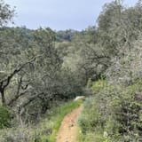 East Ridge Trail to West Ridge Trail Loop from Skyline Blvd, California ...