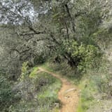 East Ridge Trail to West Ridge Trail Loop from Skyline Blvd, California ...