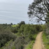East Ridge Trail to West Ridge Trail Loop from Skyline Blvd, California ...