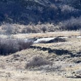 Towell Falls from Escure Ranch, Washington - 207 Reviews, Map | AllTrails