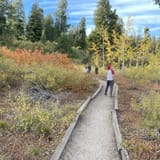 Mores Mountain Loop, Idaho - 415 Reviews, Map | AllTrails