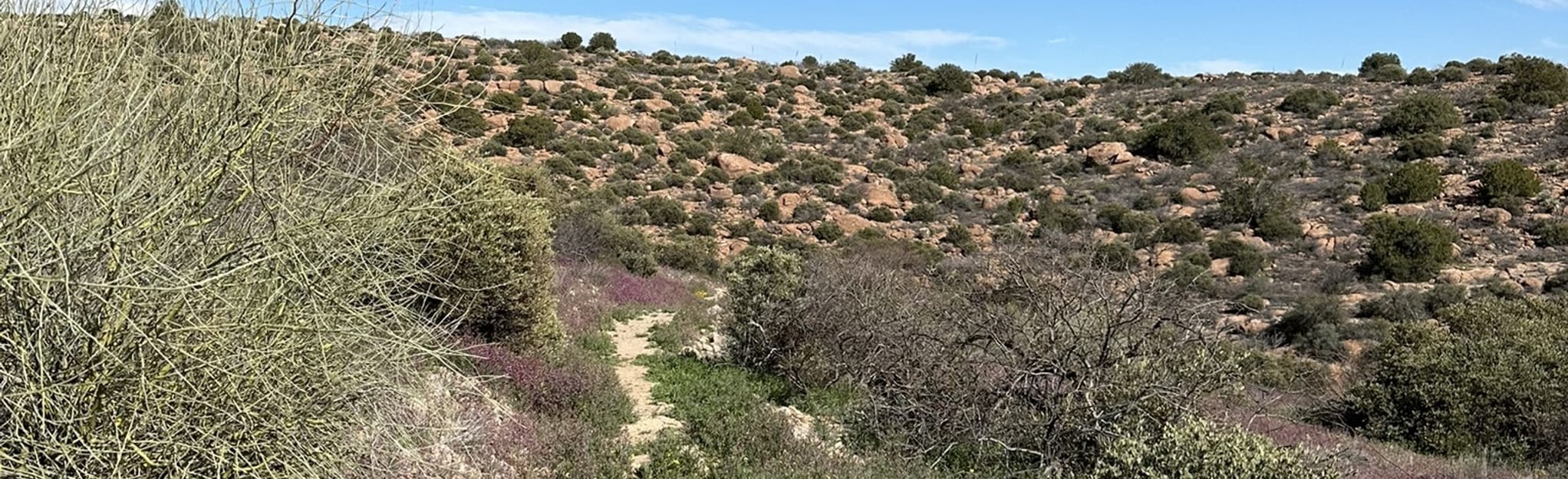 East, Boulder Canyon, Box Canyon, and Ridge Loop, Arizona - 15 Reviews ...