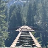 Vance Creek Bridge, Washington - 300 Reviews, Map | AllTrails