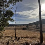 Baranduda Range Loop, Victoria, Australia - 21 Reviews, Map | AllTrails