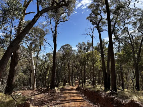 10 Best Off Road Driving Trails in Victoria | AllTrails