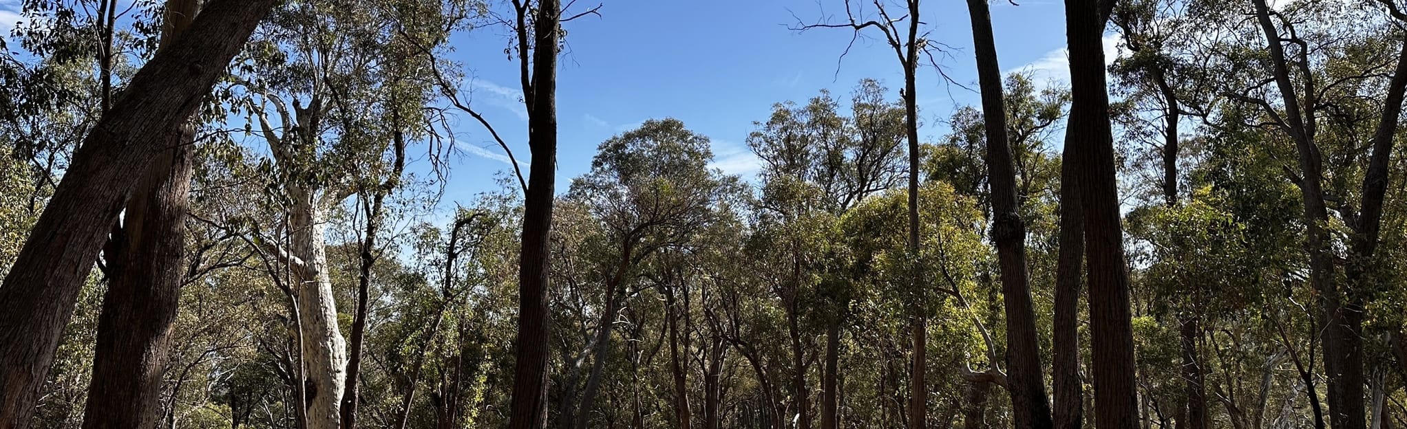 Baranduda Range Loop: 12 Reviews, Map - Victoria, Australia | AllTrails