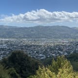 Te Whiti Riser Track, Wellington, New Zealand - 87 Reviews, Map | AllTrails