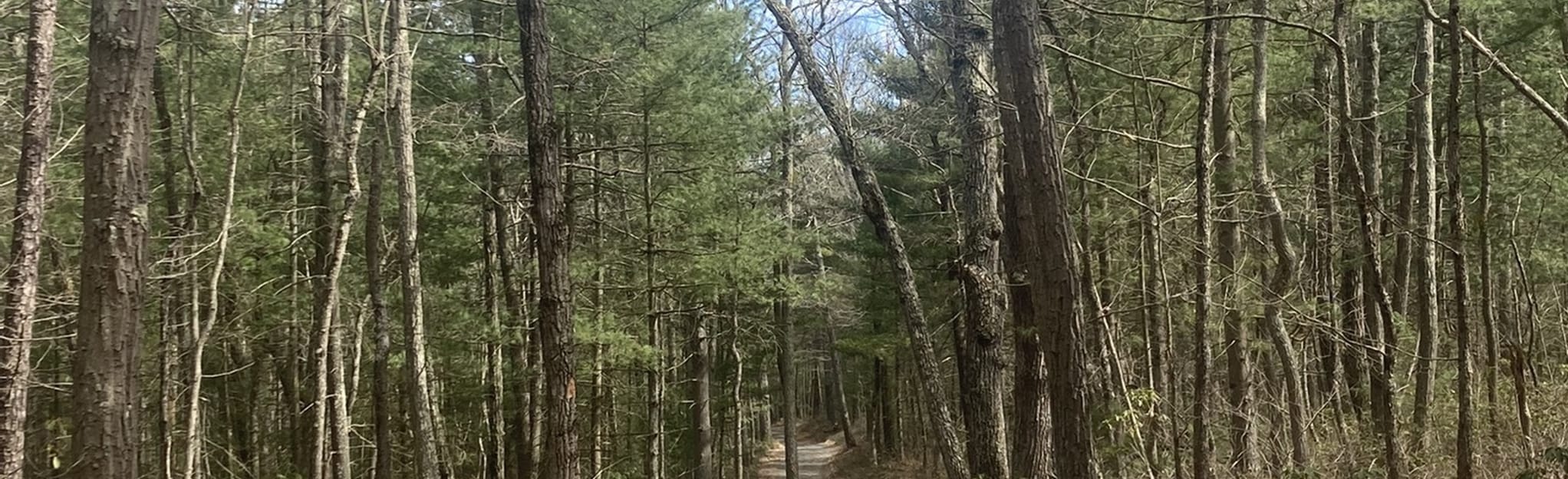Log Sled, SWMA, Haul Road, and Sawmill Road Trail Loop, Pennsylvania ...