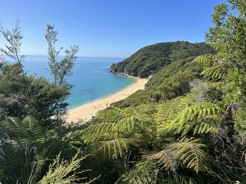 Best 10 Hikes and Trails in Abel Tasman National Park | AllTrails