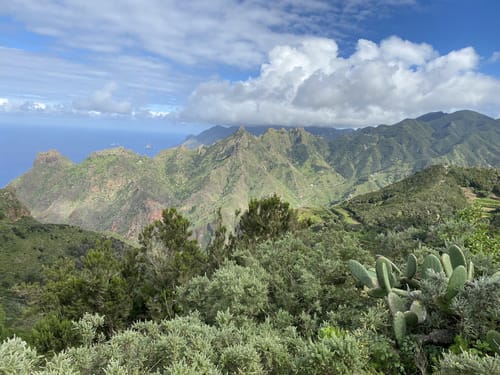 2023 Best 10 Easy Trails in Parque Rural de Anaga | AllTrails