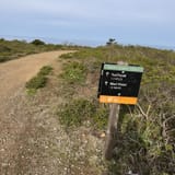 Sweeney Ridge Trail via Sneath Lane, California - 1,038 Reviews, Map ...