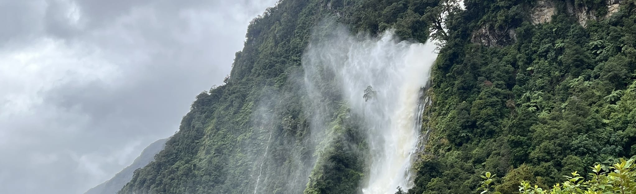 Helena Falls Track: 1 Reviews, Map - Southland, New Zealand | AllTrails