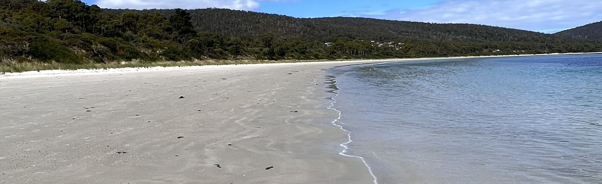 White Beach, Tasmania, Australia - 8 Reviews, Map | AllTrails