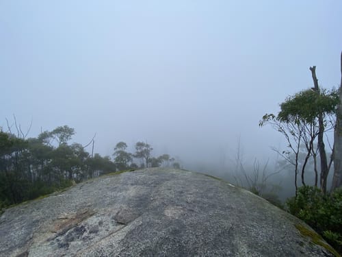 Best Hikes and Trails in Seven Acre Rock Natural Features and Scenic ...