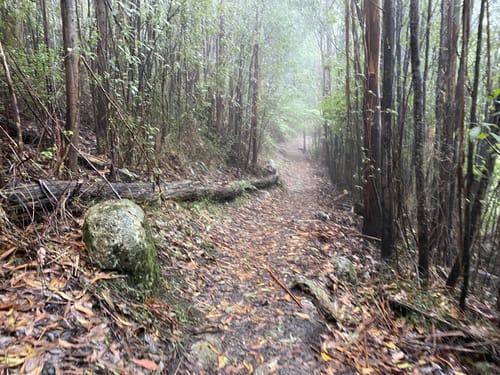 Best Hikes and Trails in Seven Acre Rock Natural Features and Scenic ...