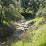 Morgan Trail, California - 466 Reviews, Map | AllTrails