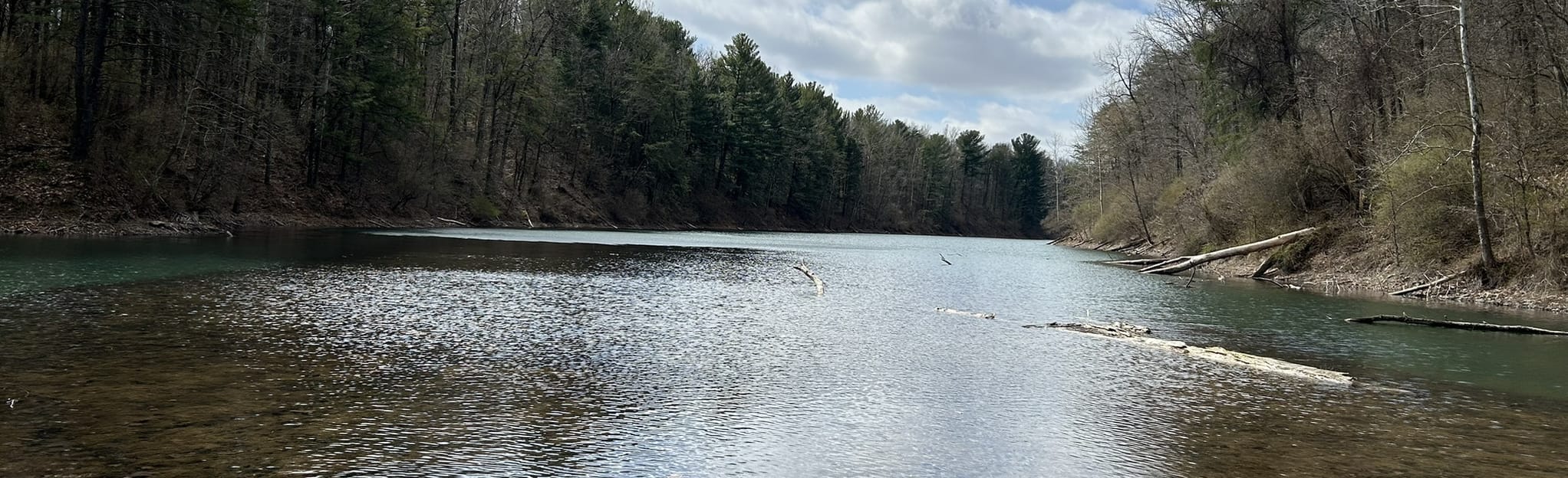 Greene-Sullivan State Forest Yellow Trail: 16 Reviews, Map - Indiana ...