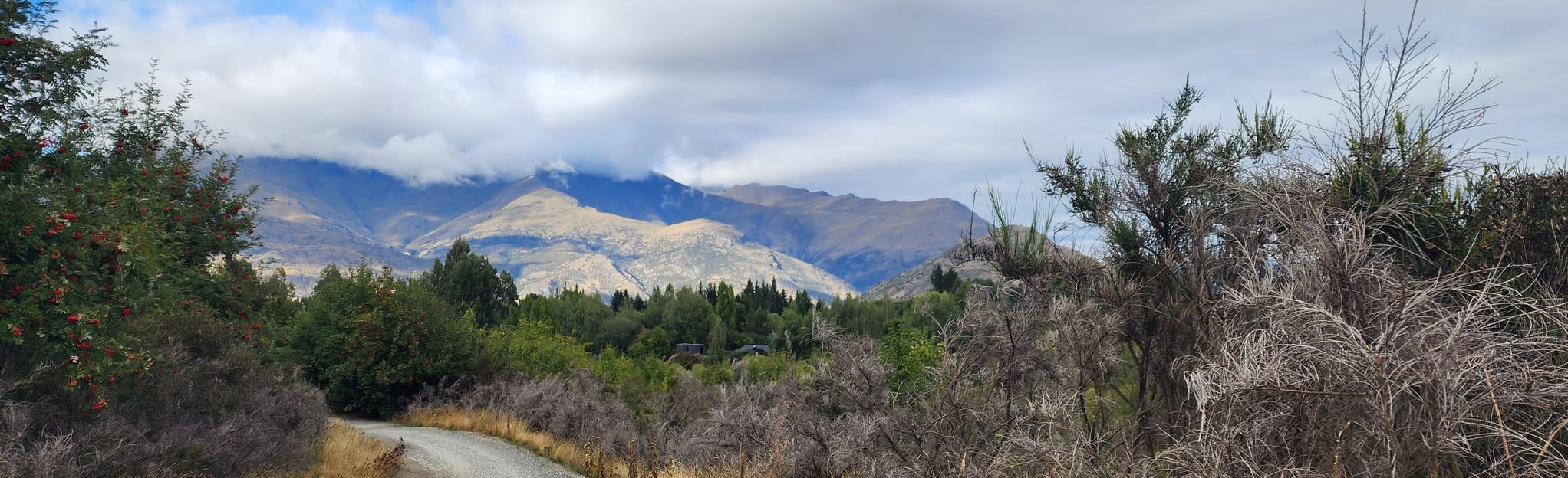Arrow River Trail via Millennium Walkway: 173 foto's - Otago, Nieuw ...