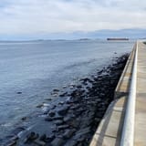 Deer Island Trail, Massachusetts - 633 Reviews, Map | AllTrails