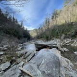 Spence Ridge Trail, North Carolina - 293 Reviews, Map | AllTrails