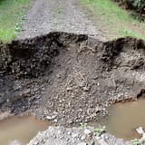 Riverhead Forest Loop Track, Auckland, New Zealand - 65 Reviews, Map ...