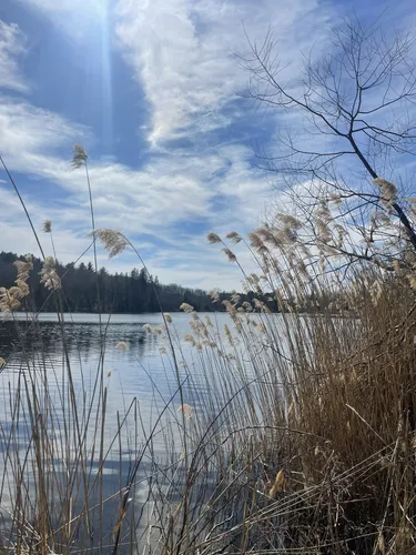 Best Long Trails in Meshomasic State Forest | AllTrails