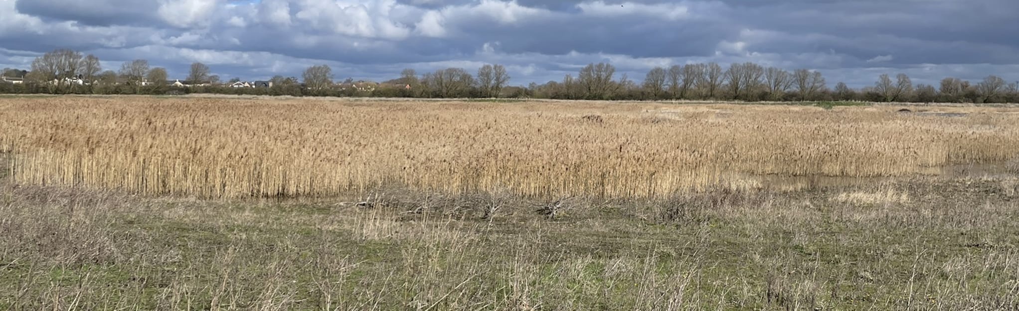 RSPB Hanson Ouse Fen NR: Cranes Fen Circular, Cambridgeshire, England ...