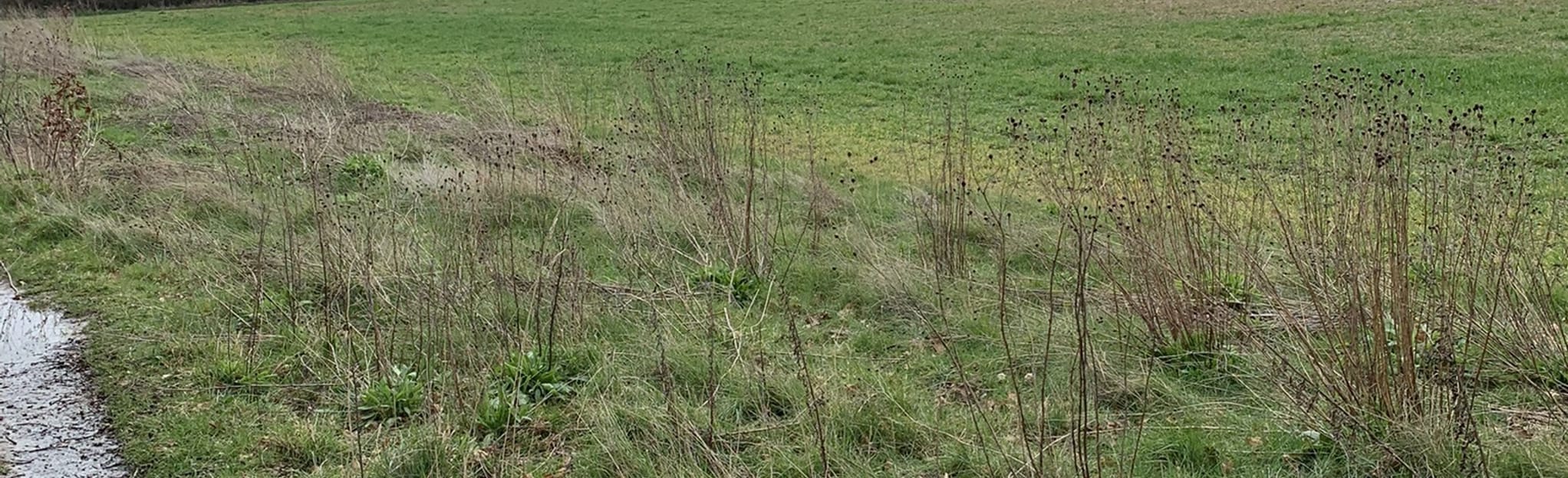 Wrabness Circular: 56 Reviews, Map - Essex, England | AllTrails