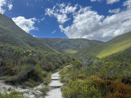 Best Forest Trails in Fernkloof Nature Reserve | AllTrails