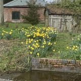 Redesmere and Capesthorne Circular, Cheshire, England - 134 Reviews ...